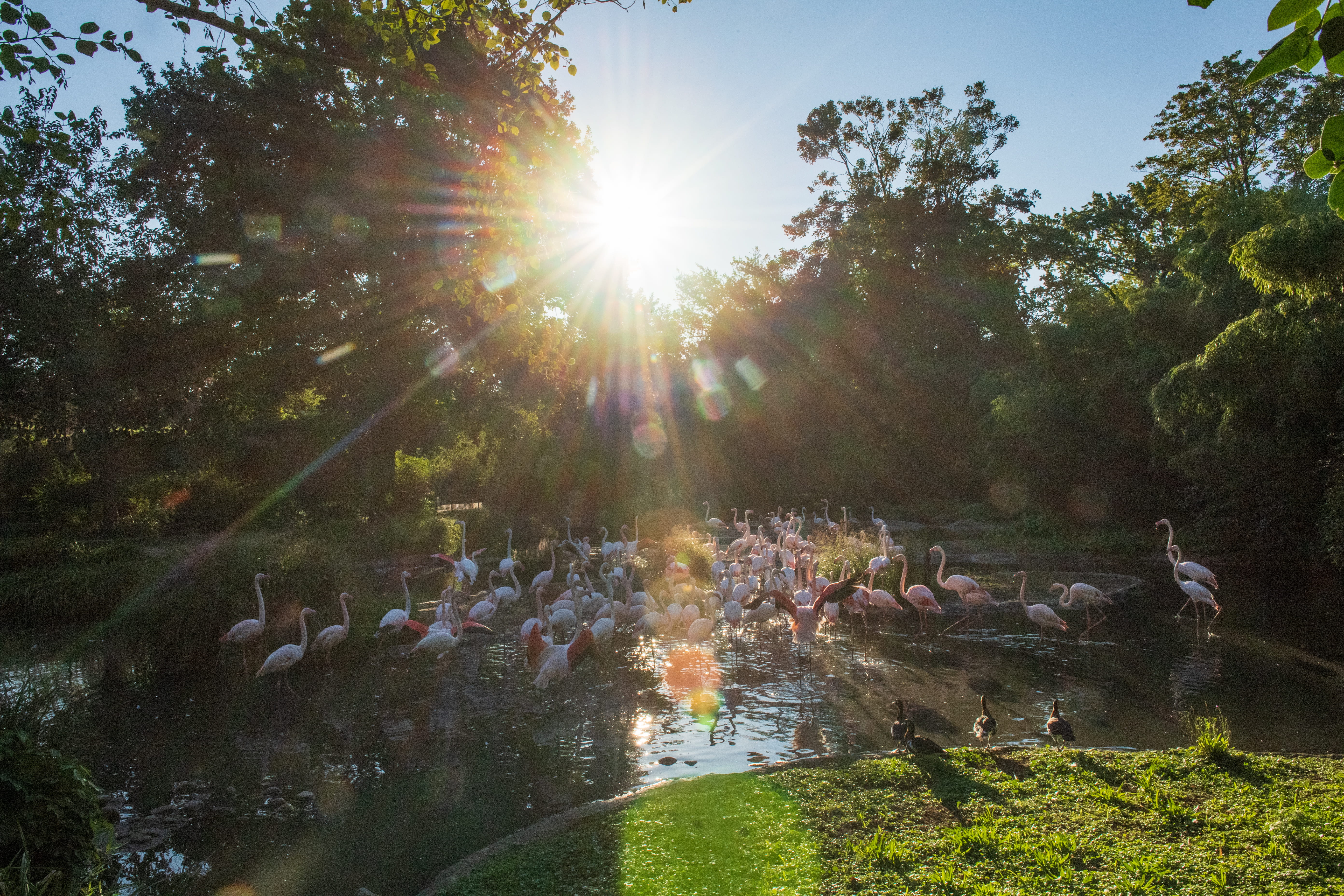 125 Jahre BKB – Zeit, danke zu sagen - Basler Kantonalbank