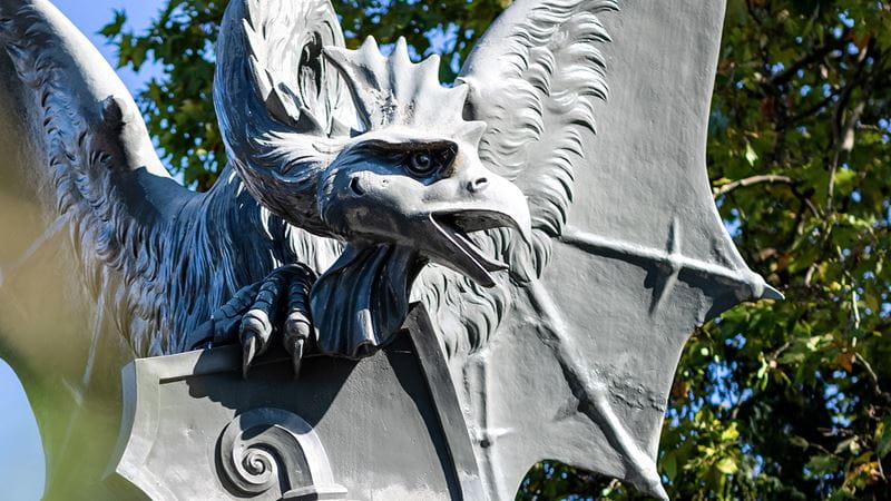 Insights - Basler Kantonalbank