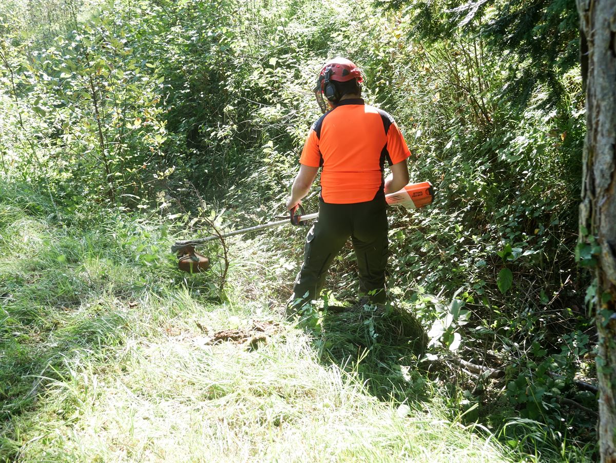 «Eine Herzensangelegenheit» - Gemeinsam für Wald und Klimaschutz ...