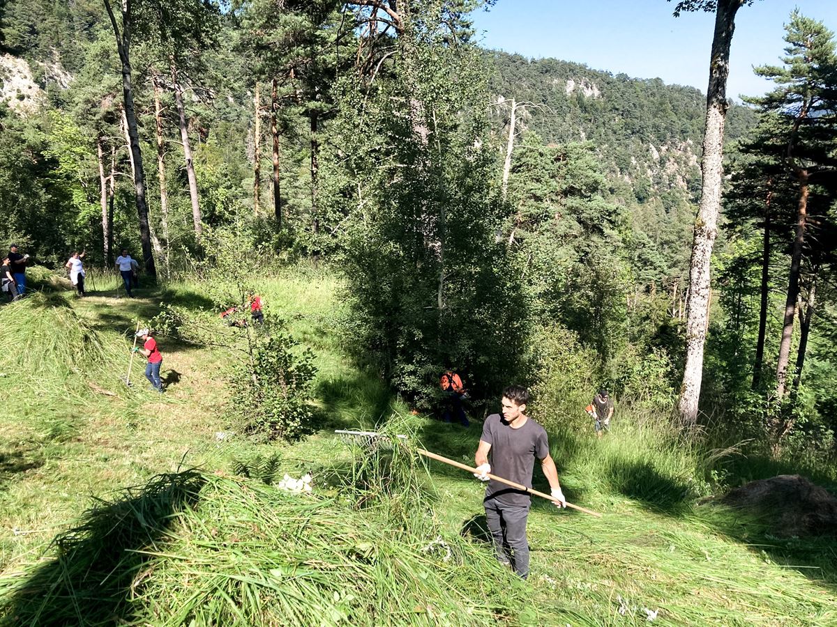 «Eine Herzensangelegenheit» - Gemeinsam für Wald und Klimaschutz ...