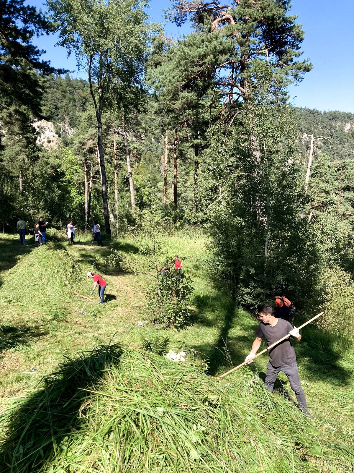«Eine Herzensangelegenheit» - Gemeinsam für Wald und Klimaschutz ...