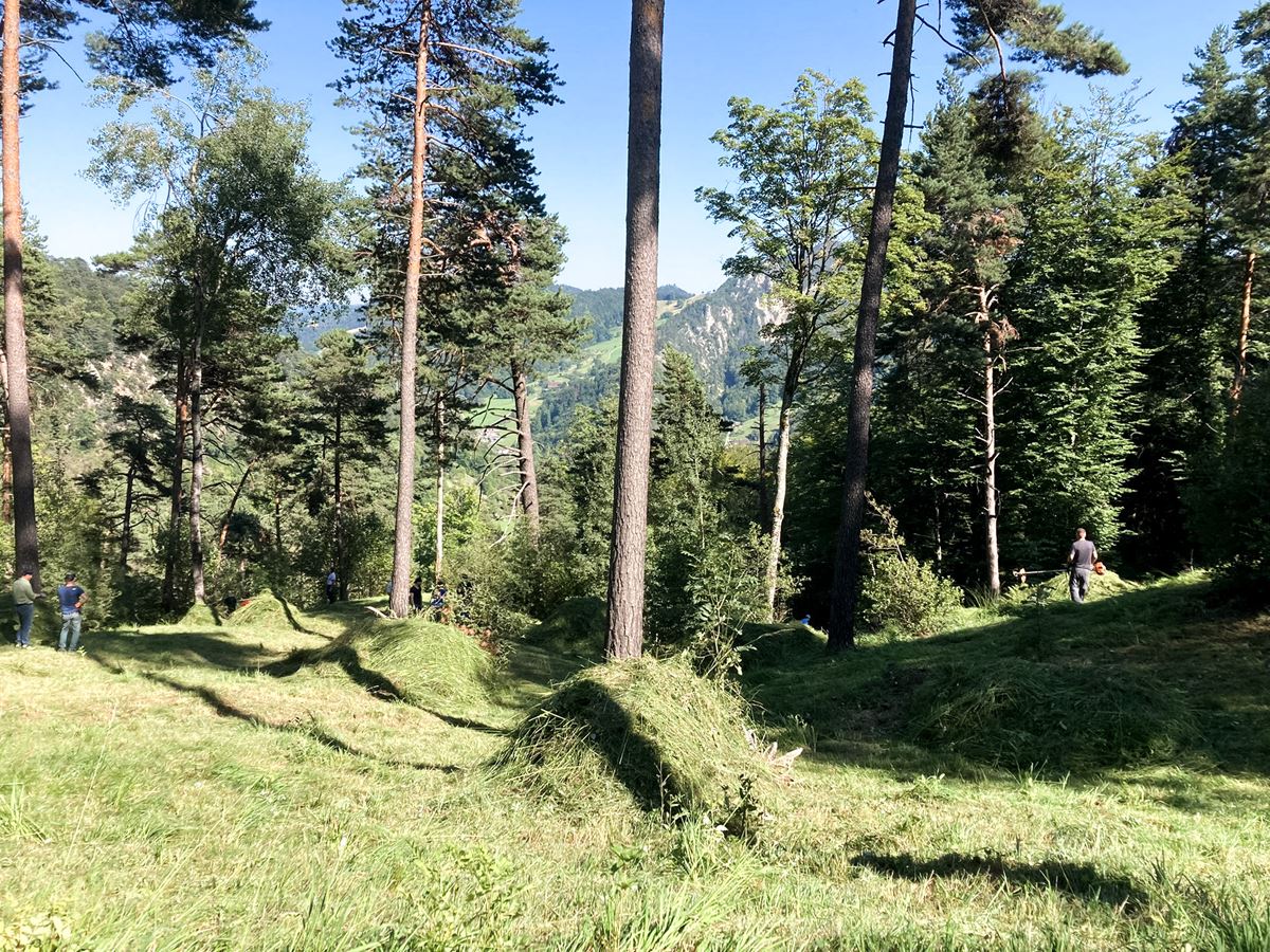 «Eine Herzensangelegenheit» - Gemeinsam für Wald und Klimaschutz ...
