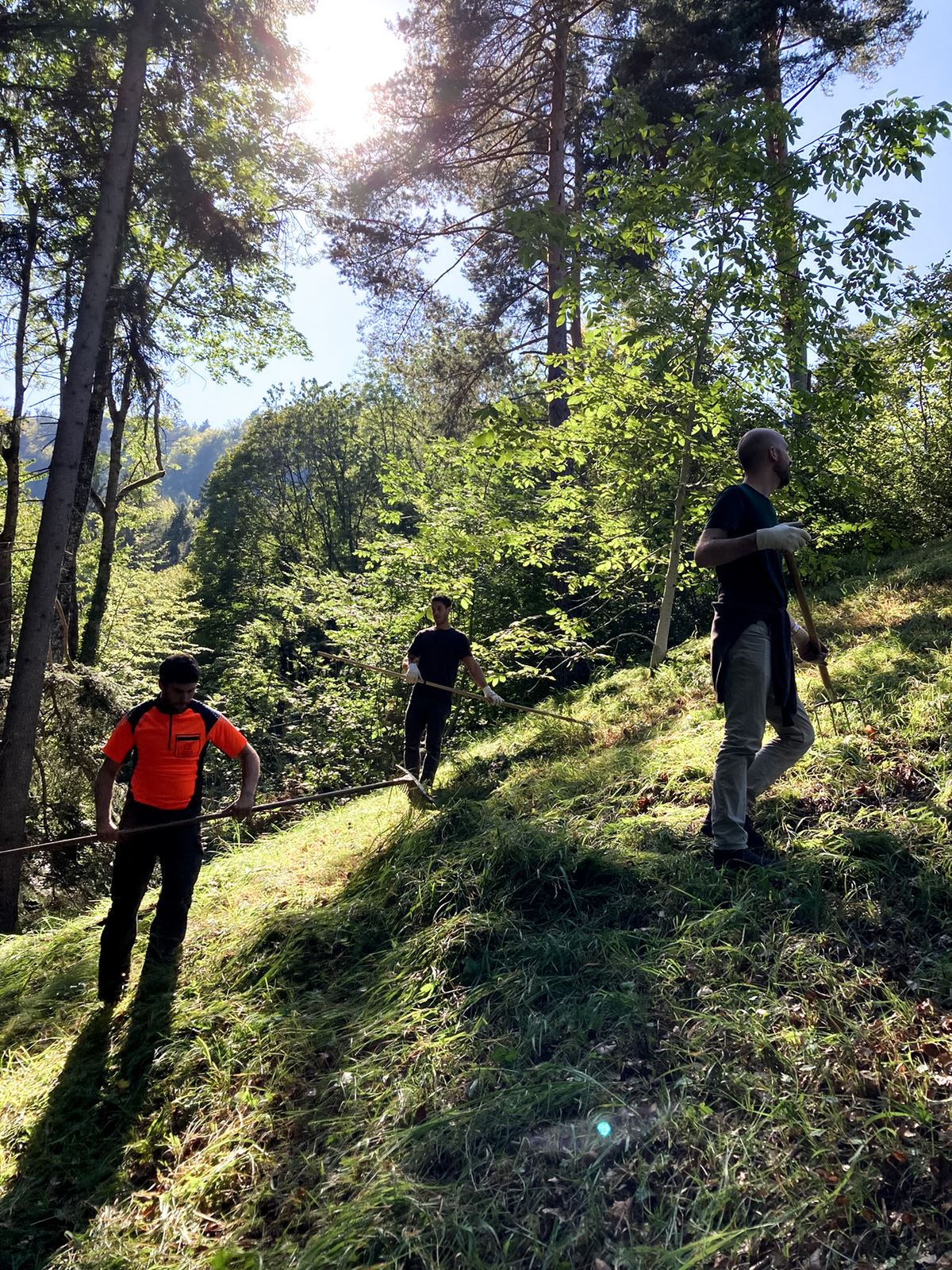 «Eine Herzensangelegenheit» - Gemeinsam für Wald und Klimaschutz ...