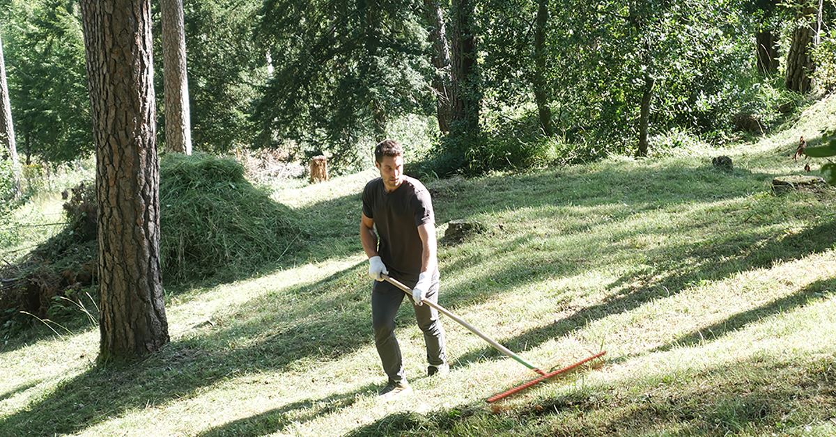 «Eine Herzensangelegenheit» - Gemeinsam für Wald und Klimaschutz ...