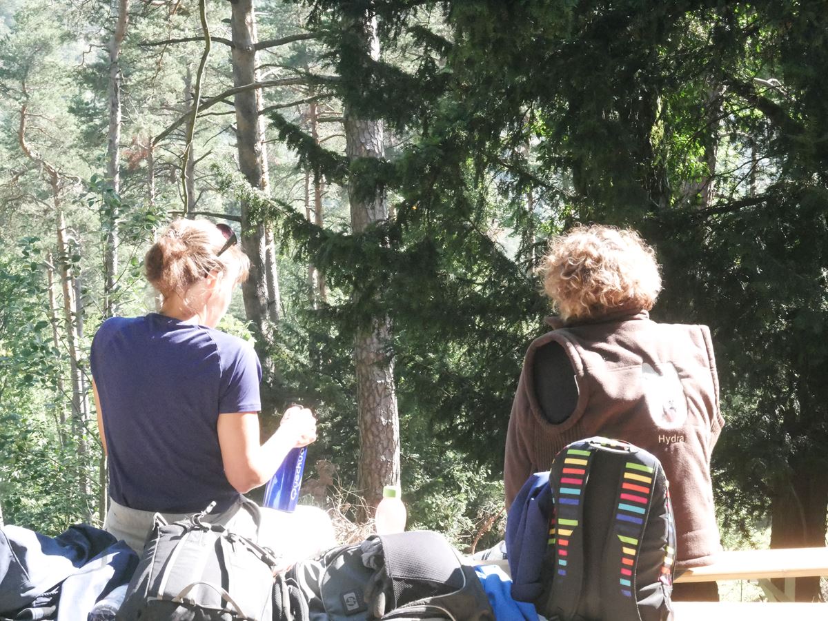 «Eine Herzensangelegenheit» - Gemeinsam für Wald und Klimaschutz ...