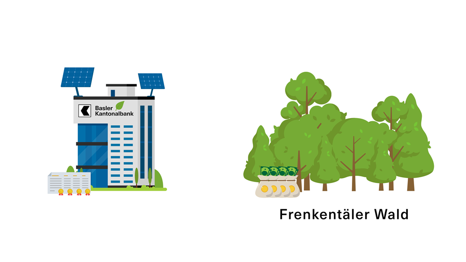 Waldschutzprojekt «Frenkentäler»: So funktioniert die CO2-Kompensation ...