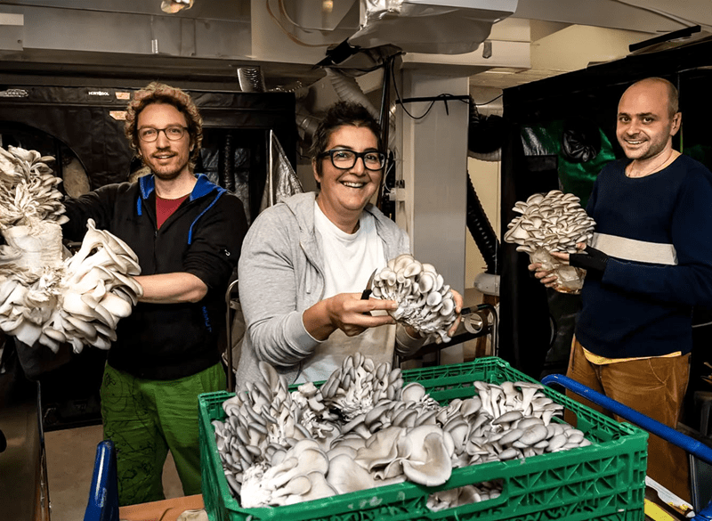 «Unser Erfolgsgeheimnis? – Die Startup Academy Basel.» - Basler ...