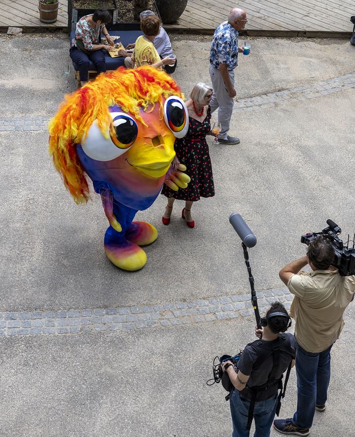 ESC Disco 60+ - Basler Kantonalbank